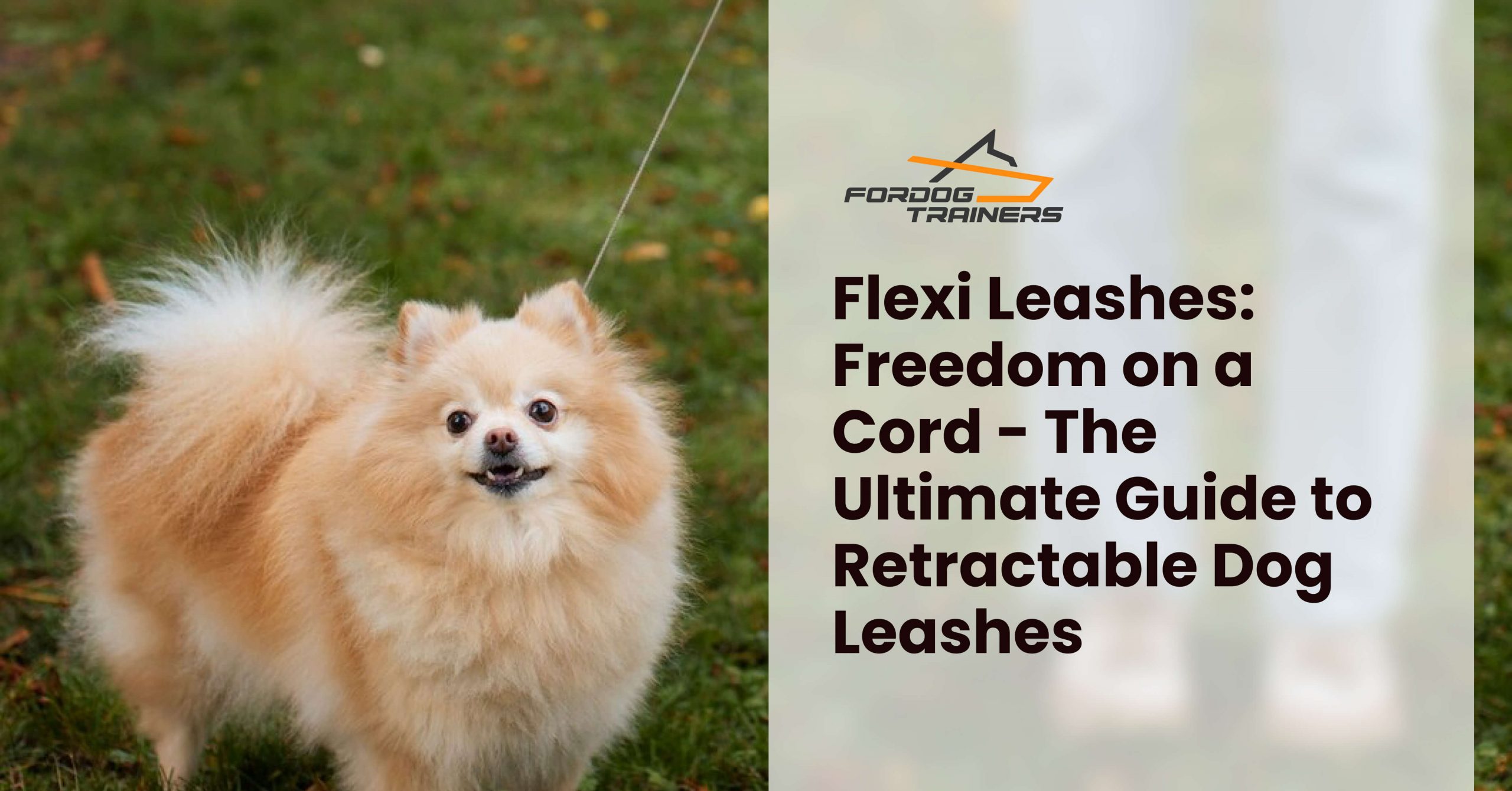 Flexi Leashes: Freedom on a Cord - The Ultimate Guide to Retractable Dog Leashes ...