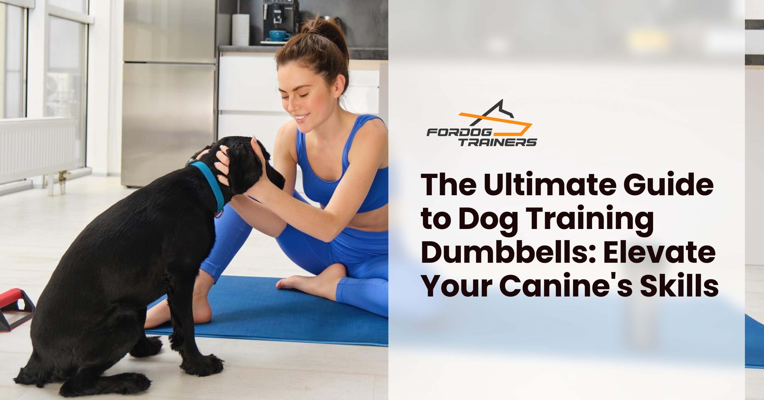 The Ultimate Guide to Dog Training Dumbbells: Elevate Your Canine's ...