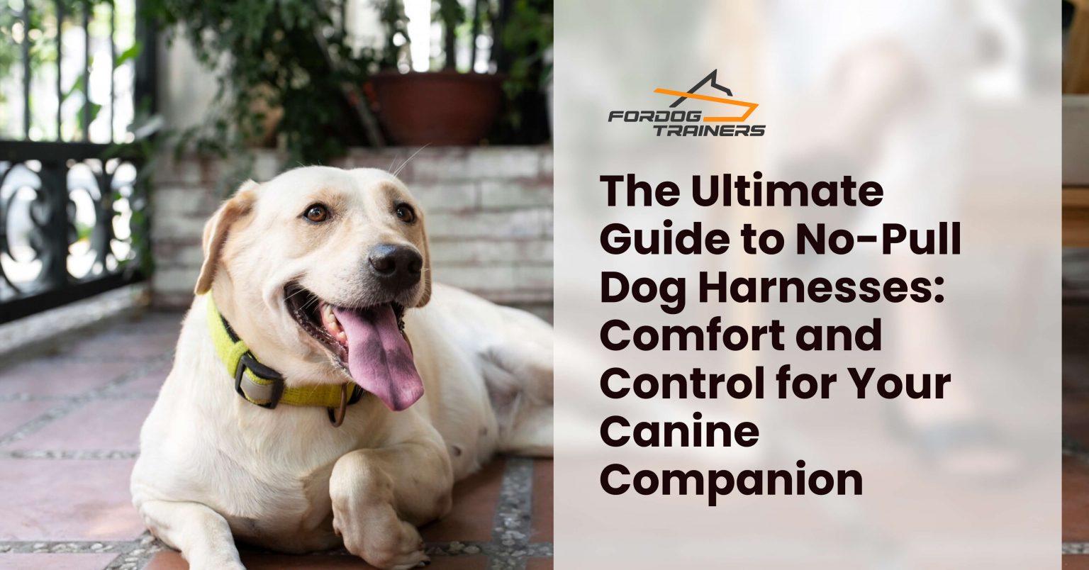 The Ultimate Guide to No-Pull Dog Harnesses: Comfort and Control for ...
