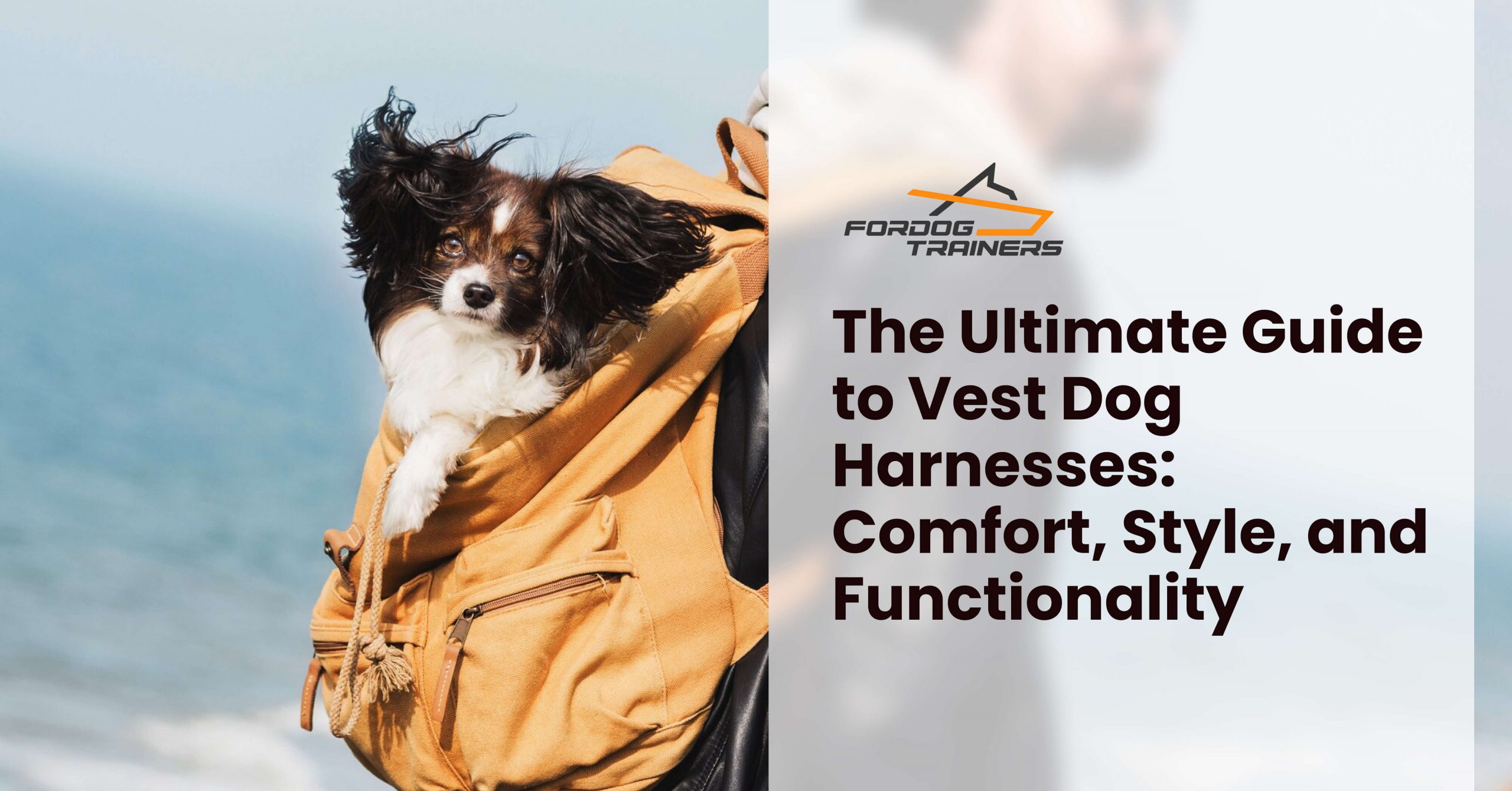 The Ultimate Guide to Vest Dog Harnesses: Comfort, Style, and ...