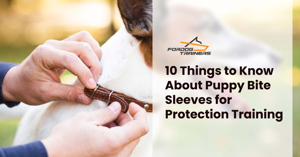 10 Things to Know About Puppy Bite Sleeves for Protection Training ...