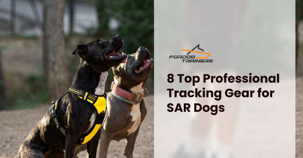 8 Top Professional Tracking Gear for SAR Dogs - ForDogTrainers Blog