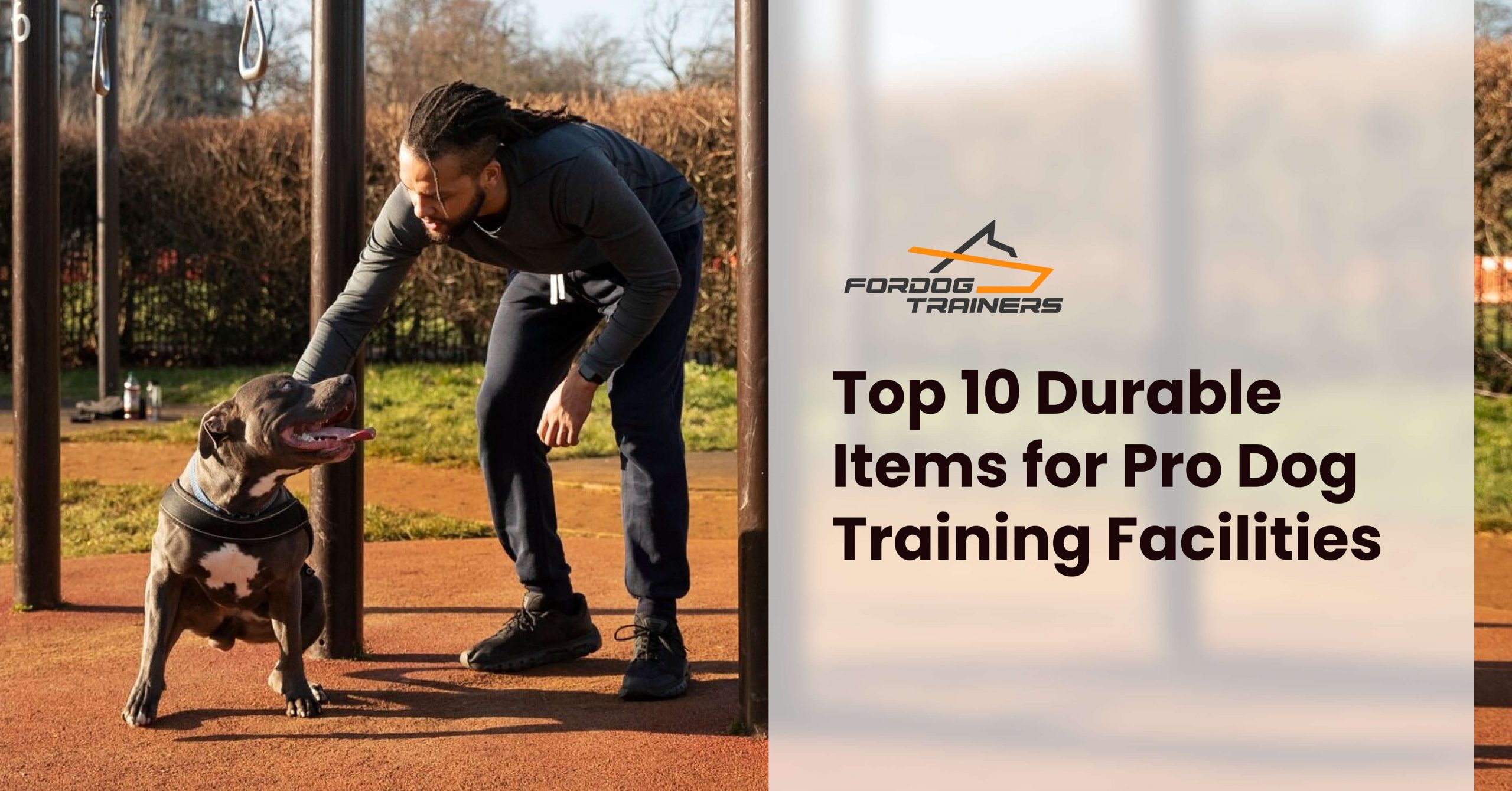 Top 10 Durable Items for Pro Dog Training Facilities - ForDogTrainers Blog