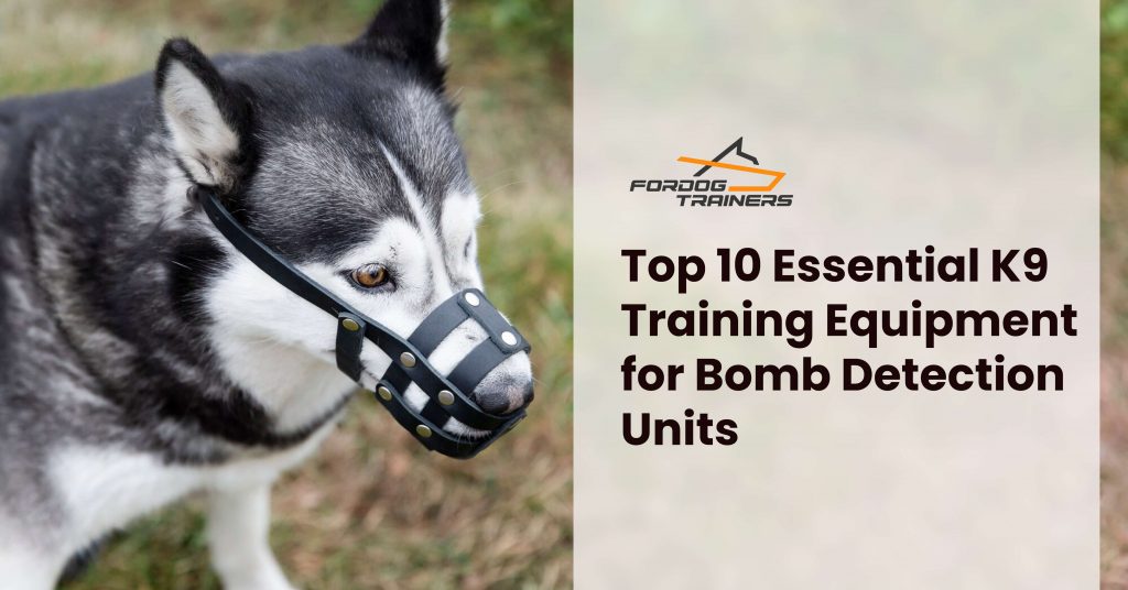 Top 10 Essential K9 Training Equipment for Bomb Detection Units ...