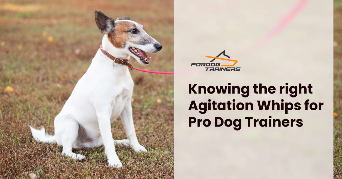 Knowing the right Agitation Whips for Pro Dog Trainers - ForDogTrainers ...